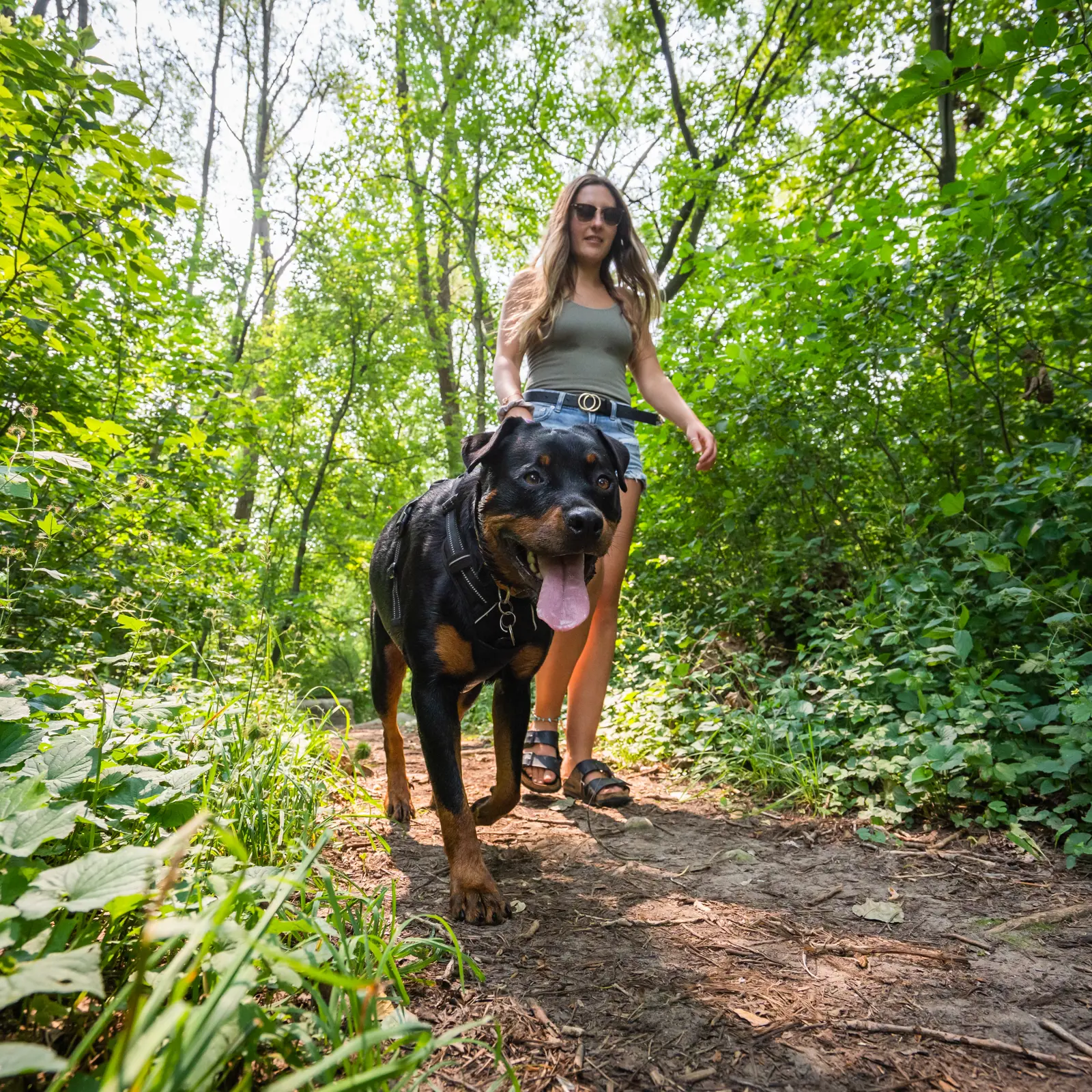 Discover | Township of Woolwich